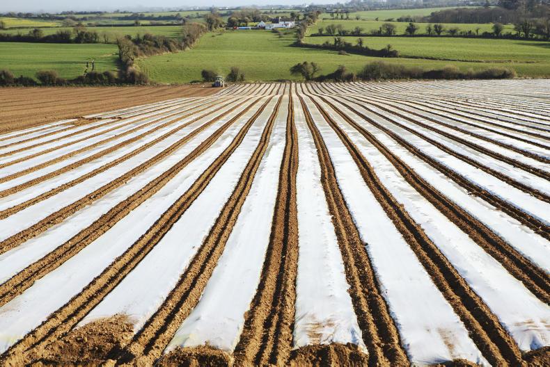 Template for forage cropping launched - Free