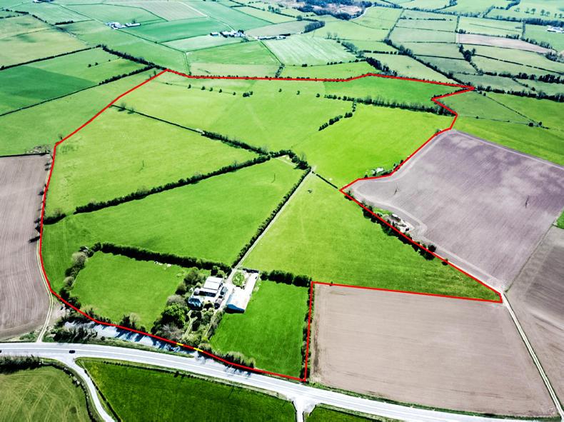 100 acres of real class in Offaly - Premium