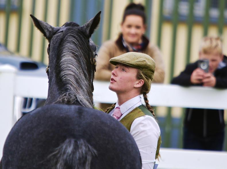 Michael Slavin: Big prize for Young Handler Championship - Premium