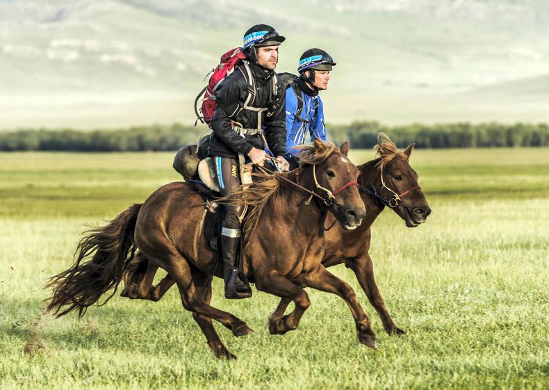 Irish horsemanship on the Mongolian steppe - Premium