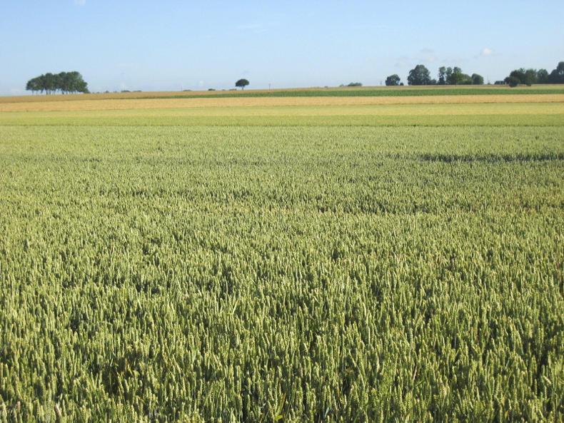 Average Farm Size In Ireland More Than Double The EU Average 28 June average-farm-size-in-ireland-more-than-double-the-eu-average-28-june