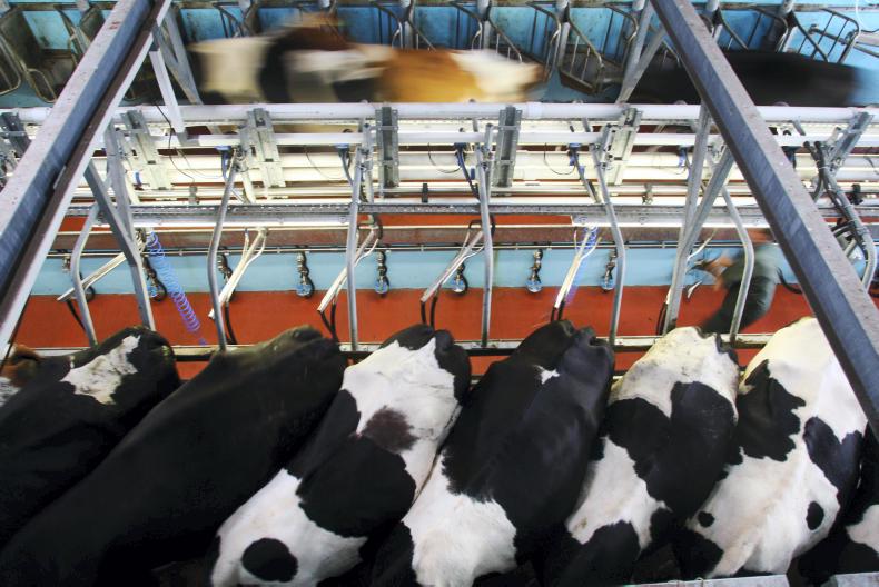 European milk prices to rise - Premium