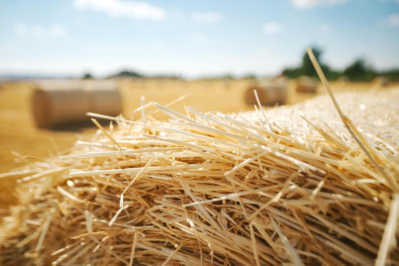 Straw prices varied - Premium
