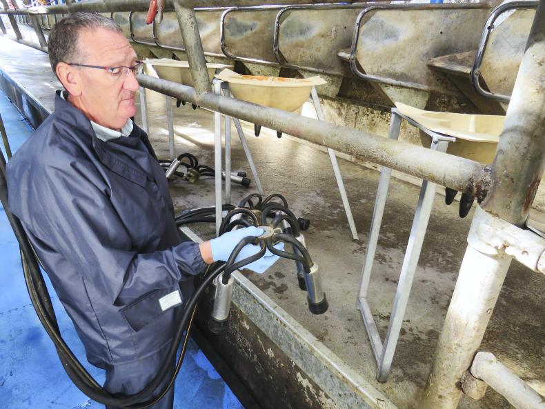 Your farm: getting a good milking routine - Premium