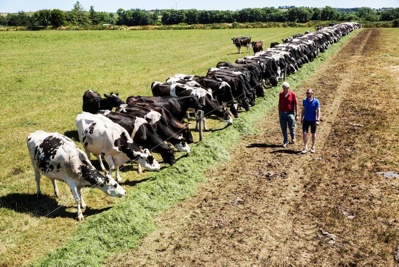 All-island concern for winter fodder stocks - Free