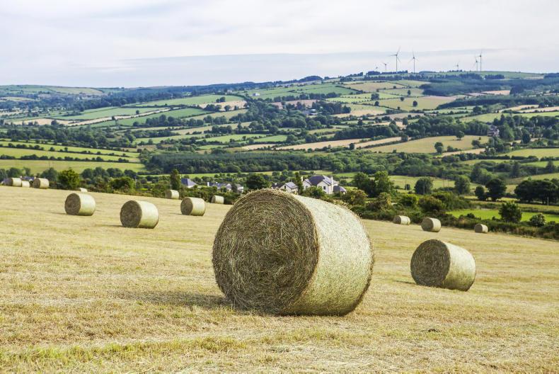 Hay going north - all the way to Norway - Premium