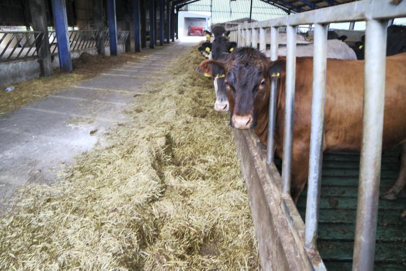 Top tips for ad-lib finishing - Premium