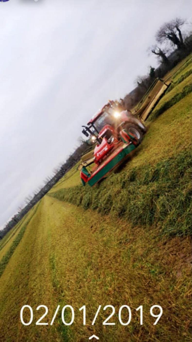Silage season kicks off in January - Free
