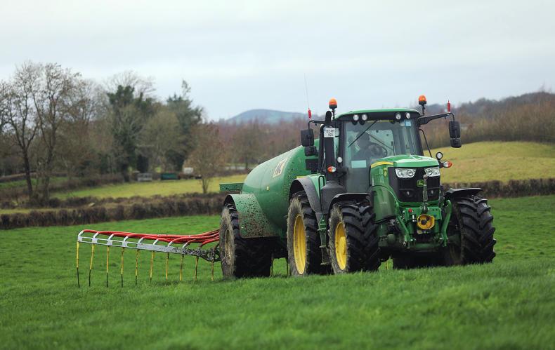 Beef management notes: grazing, slurry and finishing cattle - Premium