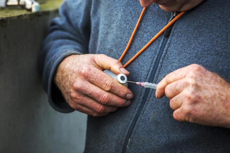 Vitesel and Leptavoid H vaccines in short supply - Premium