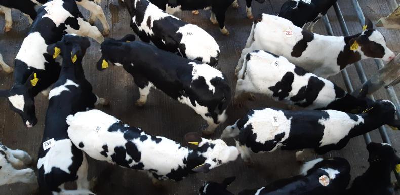 Department should rent French lairage 'in the national interest' - Premium