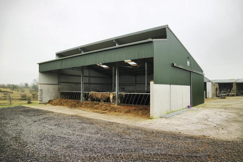 Watch: €18,000 net cost for tidy three-bay beef shed - Premium