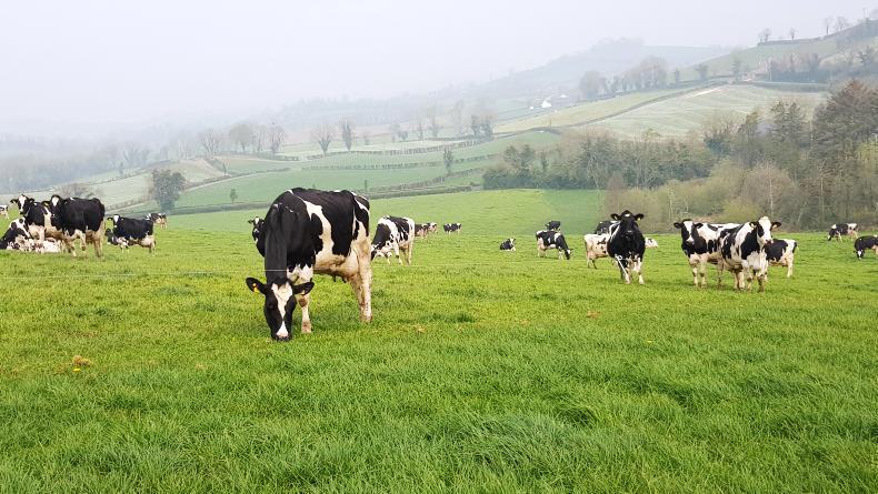 Watch: weighing up options on fertility and milk quality in Monaghan ...