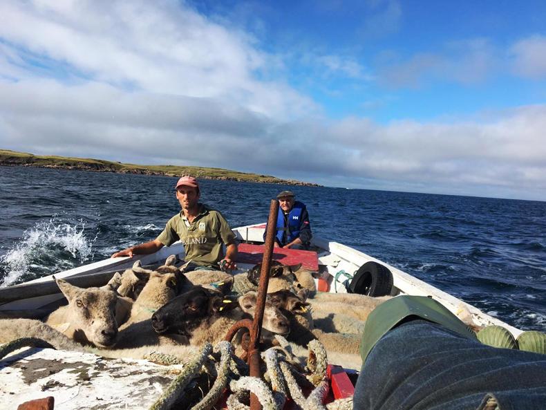 Watch: island farming in Donegal - Premium