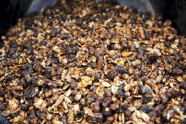 Beef management: ration formulation and Irish Farmers Journal mart ...