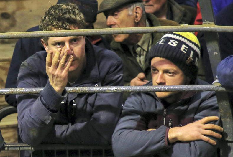 The Big Dealer: dairy beef conflict in Teagasc - Premium