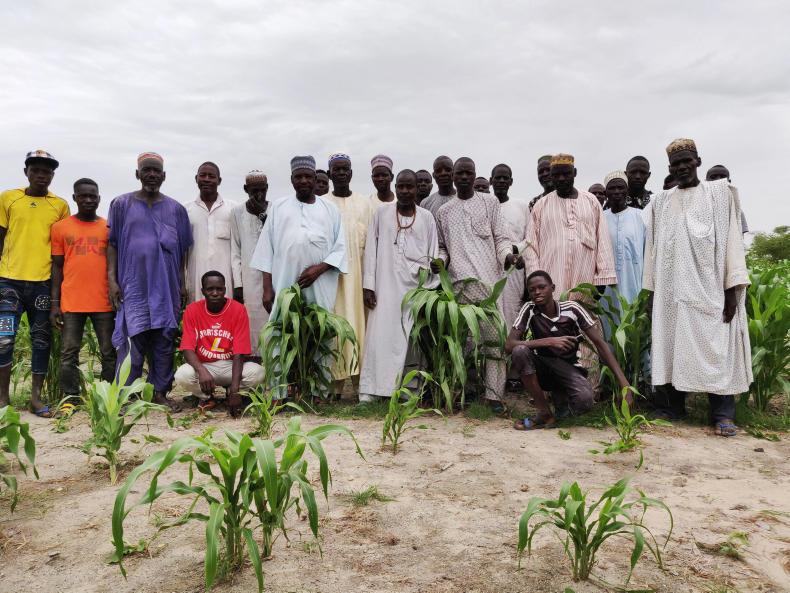 GOAL uses ancient sowing technique to help Niger farmers - Free
