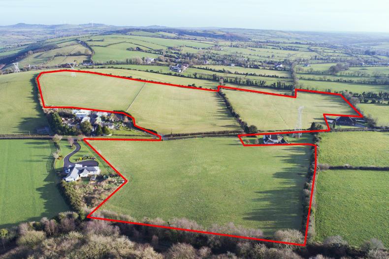 35ac outside Navan guided at €10,000/ac - Premium