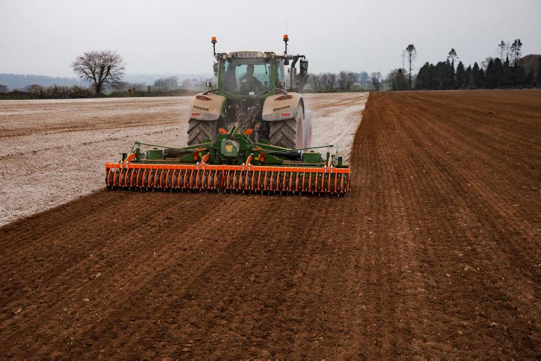 Step-by-step guide to a successful reseed - Premium