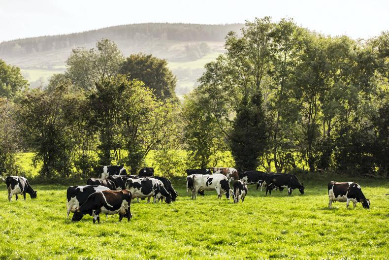 Dairy Management: fodder crops, breeding season and fodder stocks - Premium