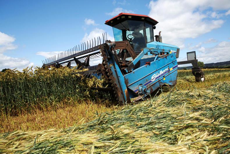 This week in photos: swathing triticale and dry crimping winter barley ...