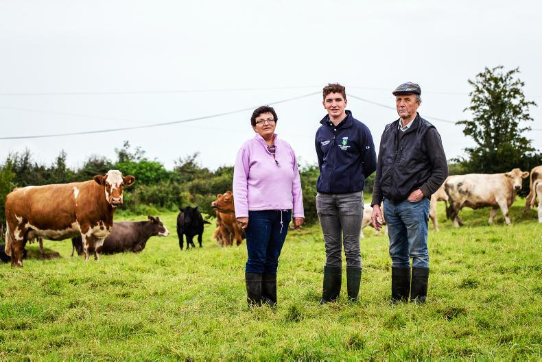 My Farming Week: Michael Meade, Rathbranchurch, Lobinstown, Co Meath ... My Farming Week: Michael Meade, Rathbranchurch, Lobinstown, Co Meath ...