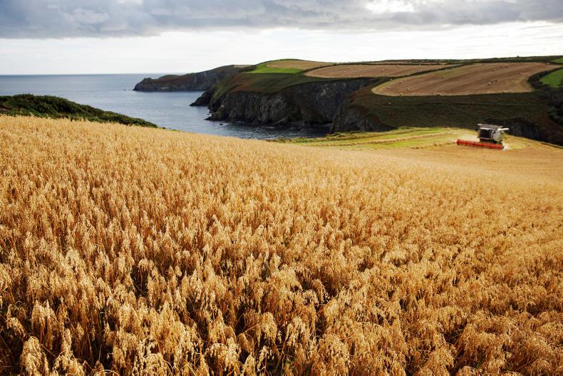 This week in photos: saving the harvest and drawing silage - Premium