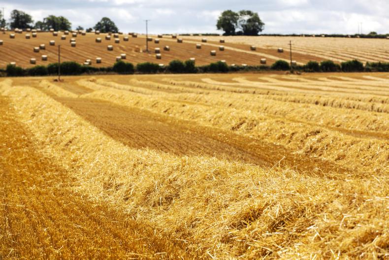 Rising demand lifts straw trade - Premium