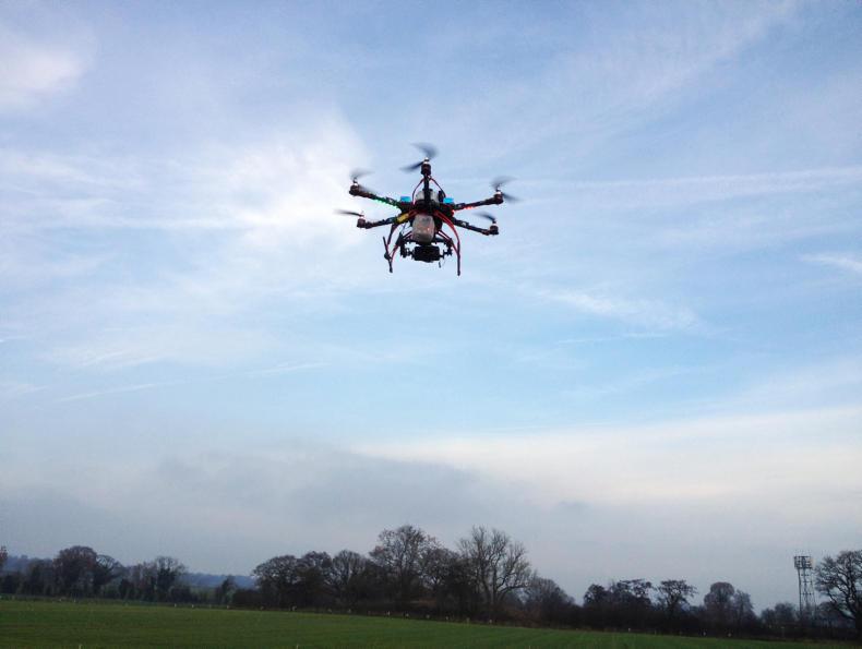 Wolves, drones and Department inspectors - Premium