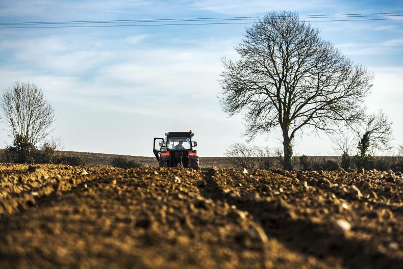 Value of food shines through in time of turmoil - Premium