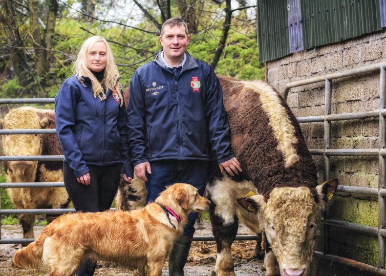 My Farming Week: Nigel Heatrick, Annareagh, Glaslough, Co Monaghan - Free