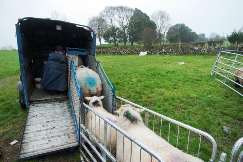 Slurry export deadline is 31 January - Free