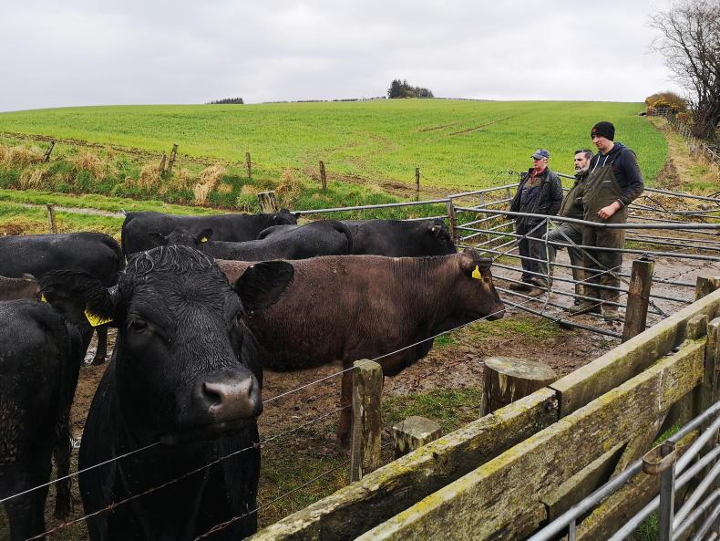 Farm Profit Pgrgramme: successful spring at Cranna - Free