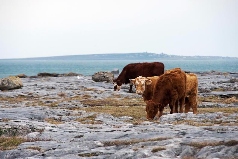 €275,000 awarded to agri-food tourism projects - Free