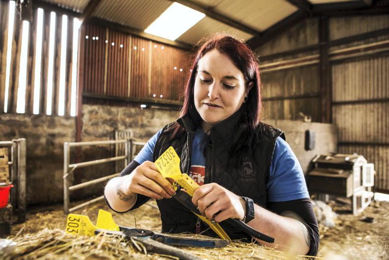 Farmer Writes: the three Fs are costing a fortune - Free