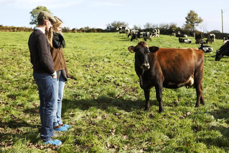 Agri-food ‘tourism initiatives’ needed – McConalogue - Free