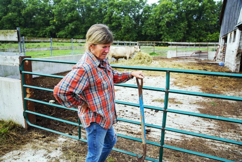 Physiotherapy: common injuries on the farm - Free