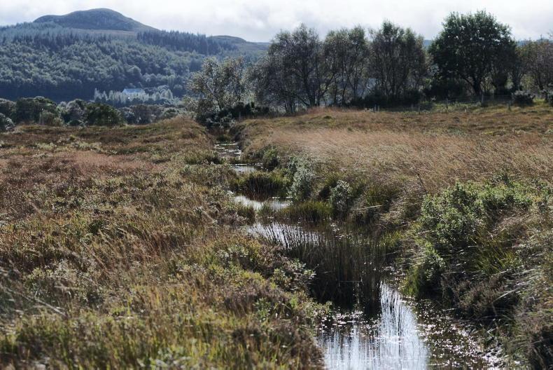 €20m bog conservation project covers Galway to Donegal - Free