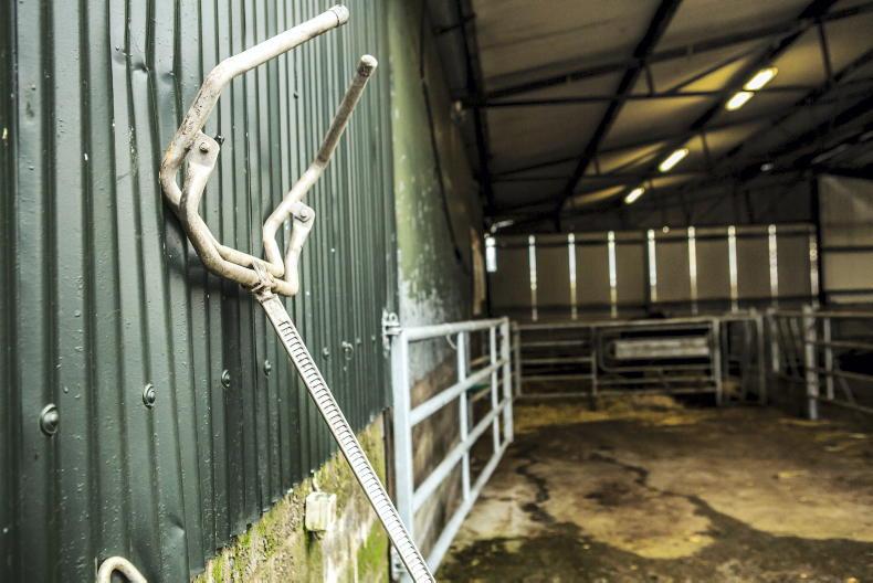 Five tips to prepare for spring calving - Free