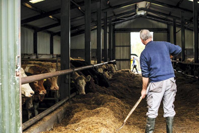 Agricultural ‘surplus’ up 30% to €4,826m in 2022 - CSO - Free