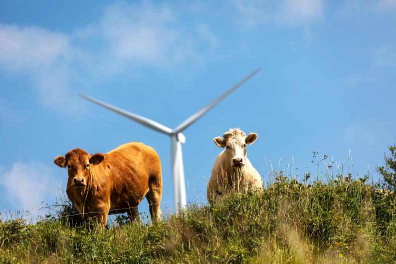 New farm renewable scheme coming in 2023 - Premium
