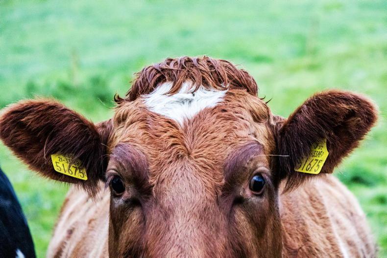 Weekend weather: slightly chilly but mostly dry - Free