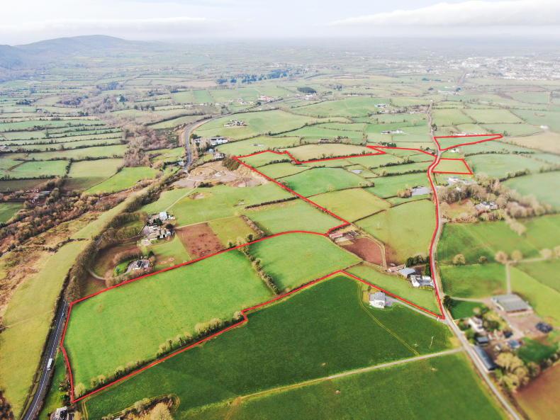 57ac residential farm in Golden Vale heads for the hammer - Free