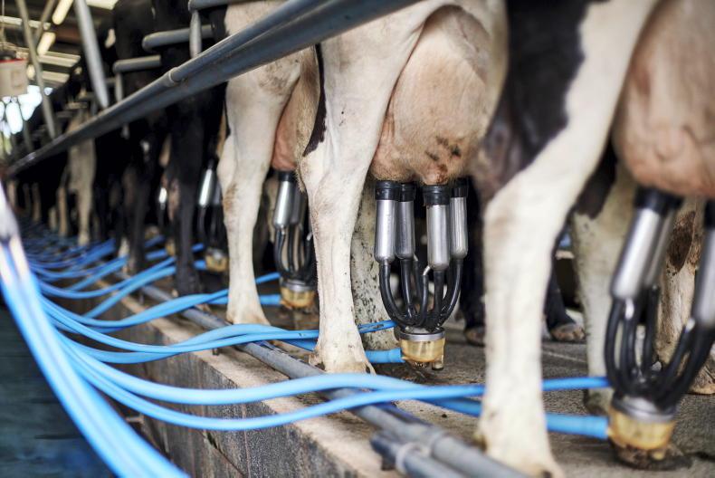 Farmers reminded that deadline for cow excretion rates is Friday - Free
