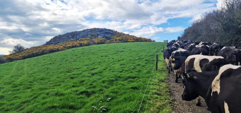 Co-operatives may be losing their price-cutting excuse as GDT turns - Free