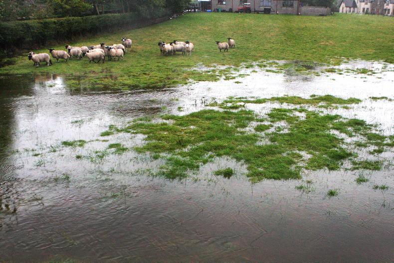 Spring reminder to have slack in system - Free