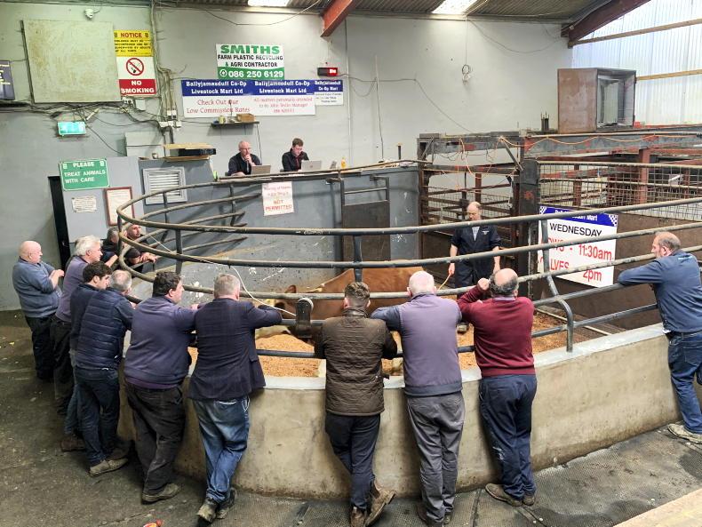 Northern buyers boost Ballyjamesduff trade - Free