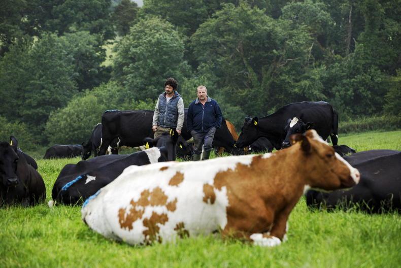 Shinagh Zero C farm moves to almost 100% protected urea usage - Free