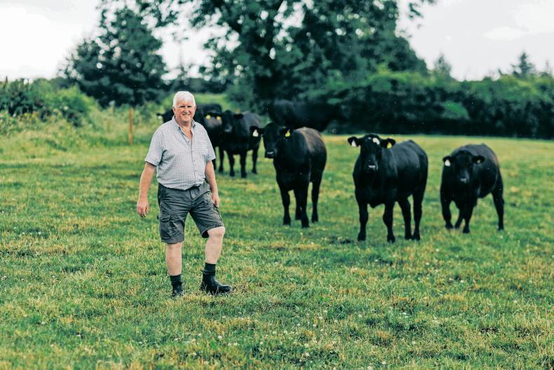 My Farming Week: Gerry Fitzsimons, Mullahoran, Kilcogy, Co Cavan - Free