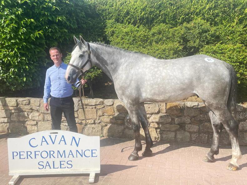 Quality over quantity at Cavan Sales - Free